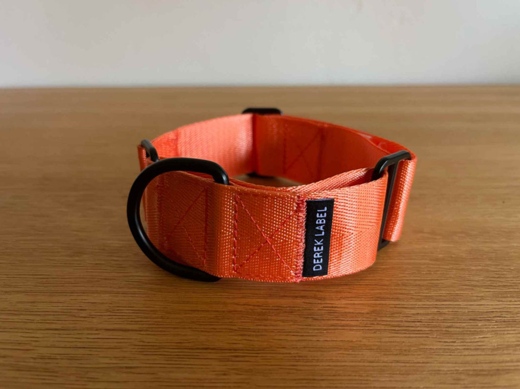 Martingale Collars | Collar for Whippets & Greyhounds